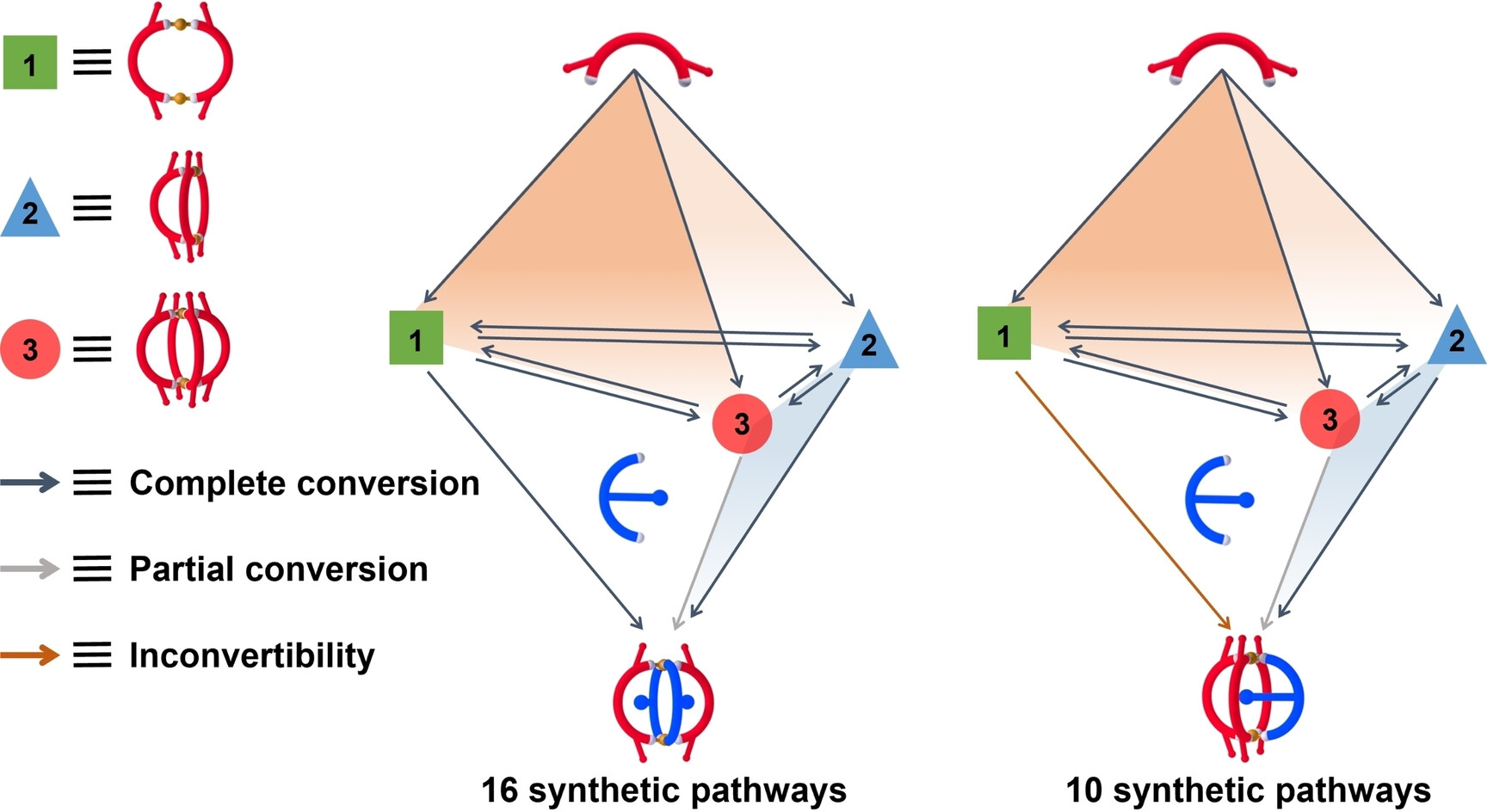 Pathway Engineering in Pd-Based Supramolecular Cage Synthesis via Inner ...