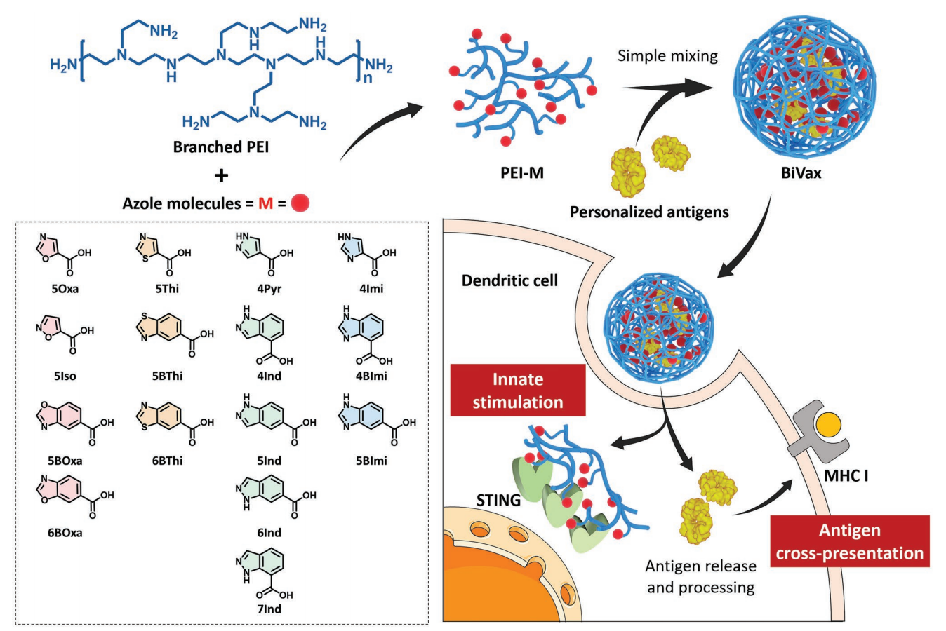A Minimalist Binary Vaccine Carrier for Personalized Postoperative ...
